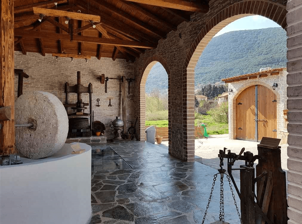 Olive oil tour, Agios Matheos village | Astera Travel Corfu